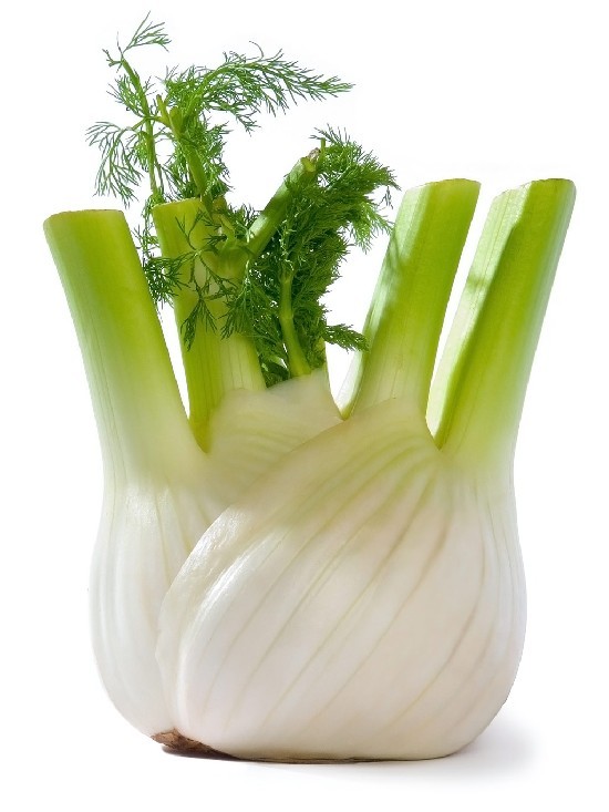 Finocchio – La mia cucina senza lattosio
